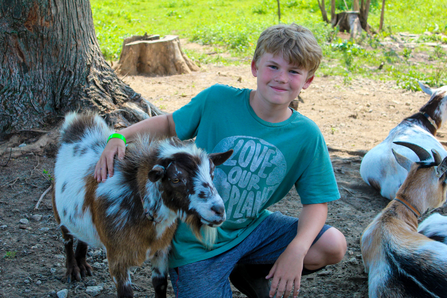 Camp Fitch YMCA - A Great Camp On A Great Lake - Northeast Ohio Parent