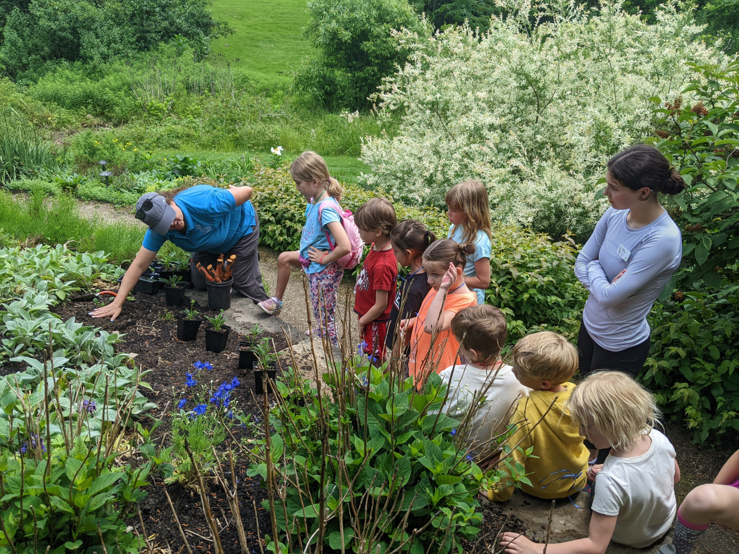 Camp of the Week: Holden Forests & Gardens Summer Camps