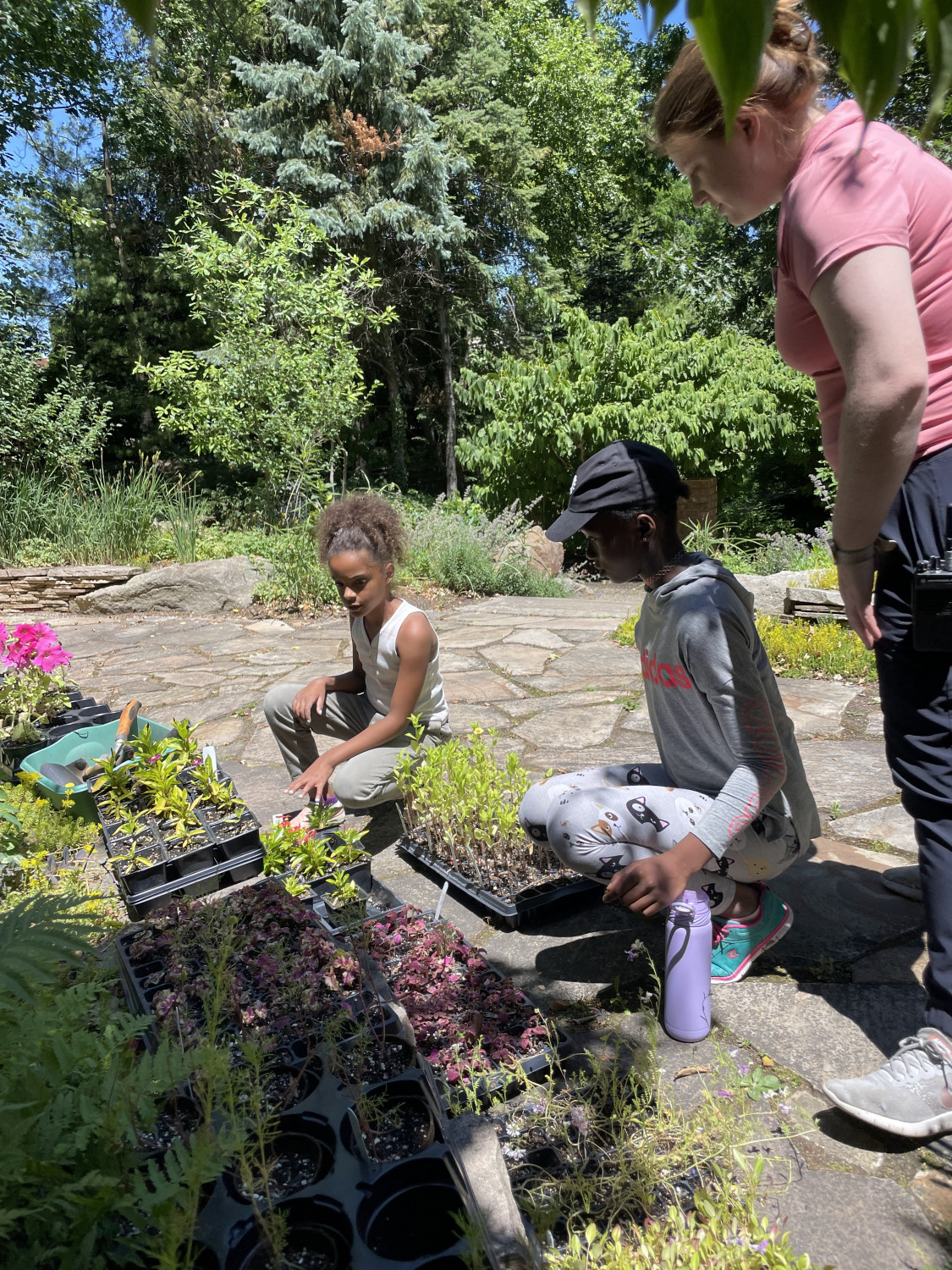 Holden Forests & Gardens Summer Camps - Northeast Ohio Parent