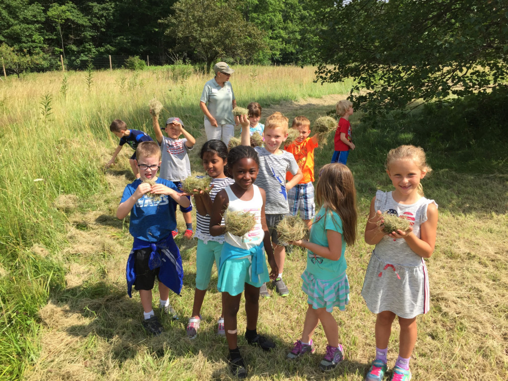 Holden Forests & Gardens Summer Camps - Northeast Ohio Parent