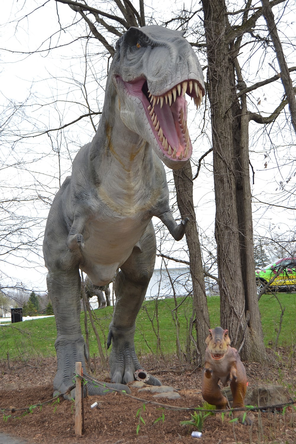 Dinosaurs Come to Carlisle Reservation at Lorain County Metro Parks ...