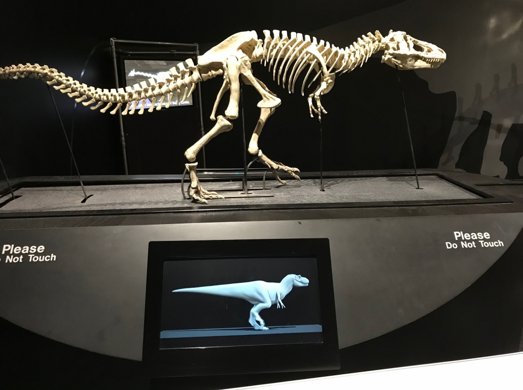 Discovering the New Dinosaur Gallery at COSI in Columbus - Northeast ...