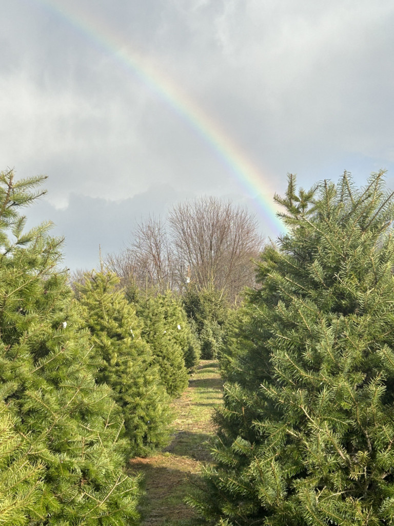 River Run Tree Farm - Northeast Ohio Parent