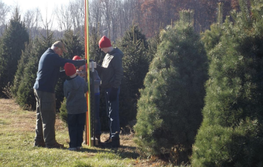 River Run Tree Farm - Northeast Ohio Parent