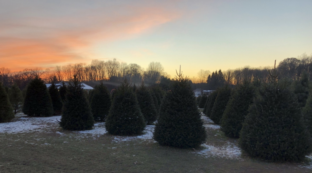 River Run Tree Farm - Northeast Ohio Parent