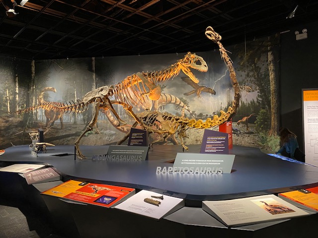 ‘Ultimate Dinosaurs’ at CMNH is a Must-See for Families