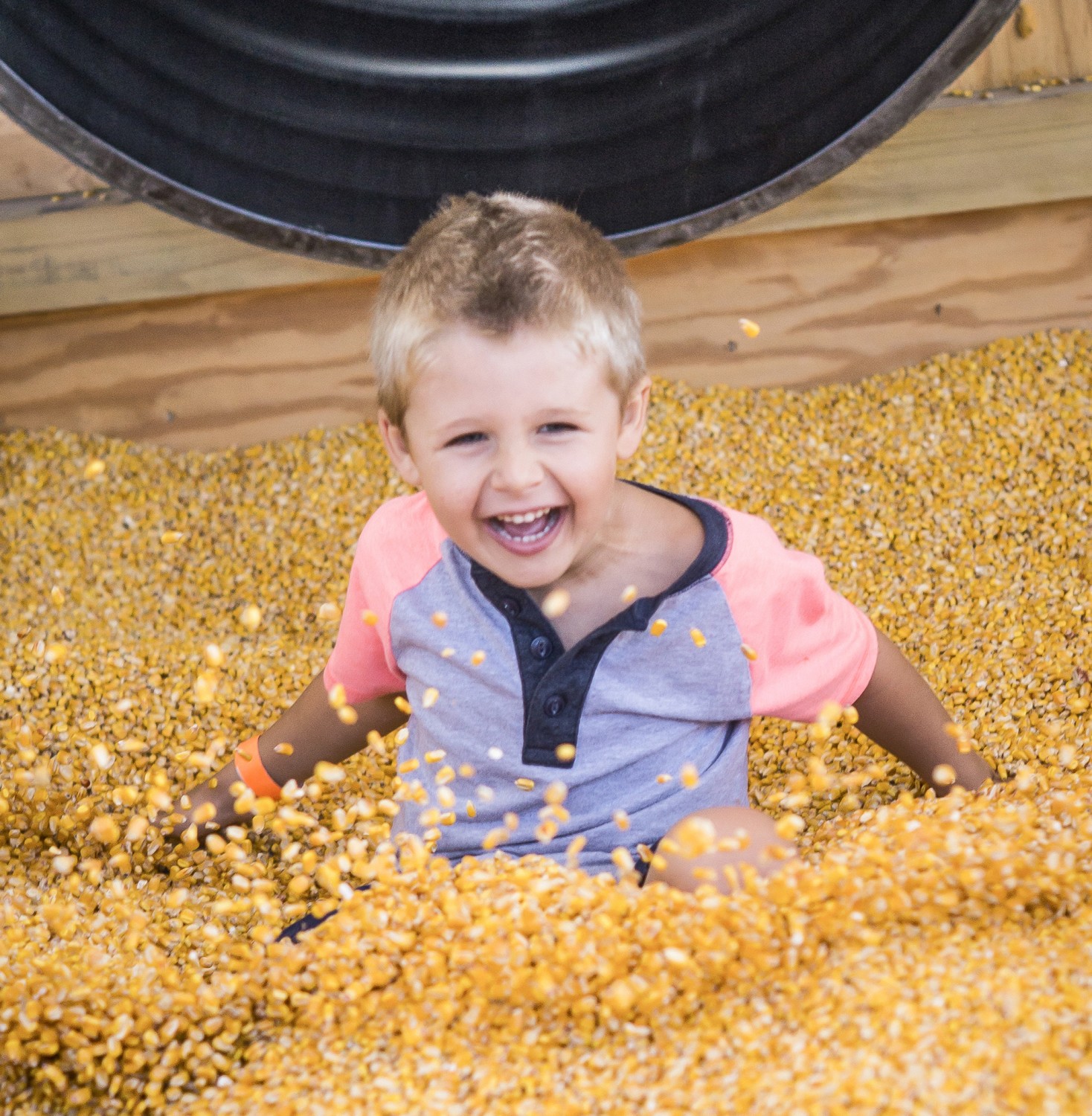 Corn Crib Chutes - Northeast Ohio Parent