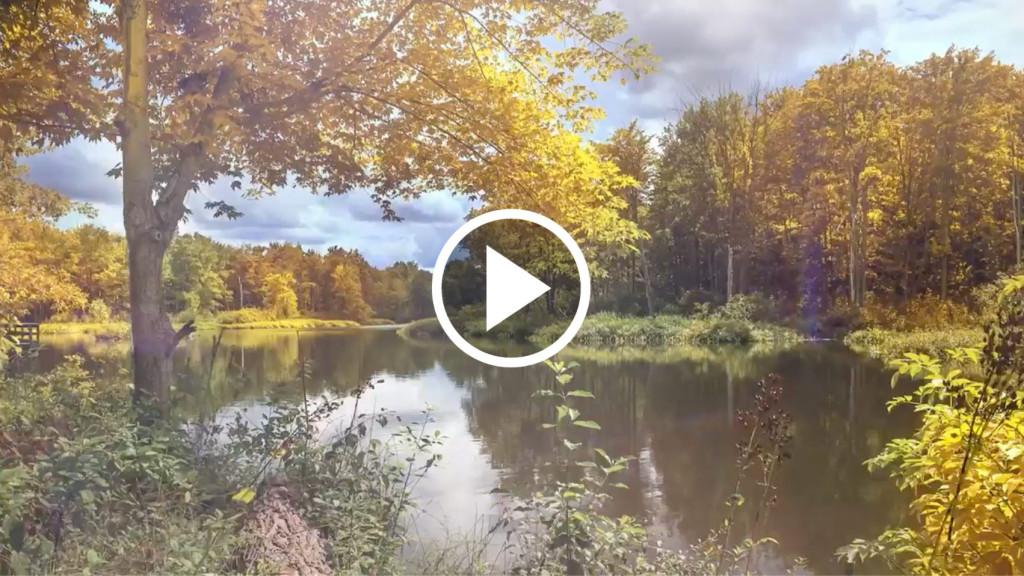 10 Trails to Explore Fall Colors in Cleveland Metroparks