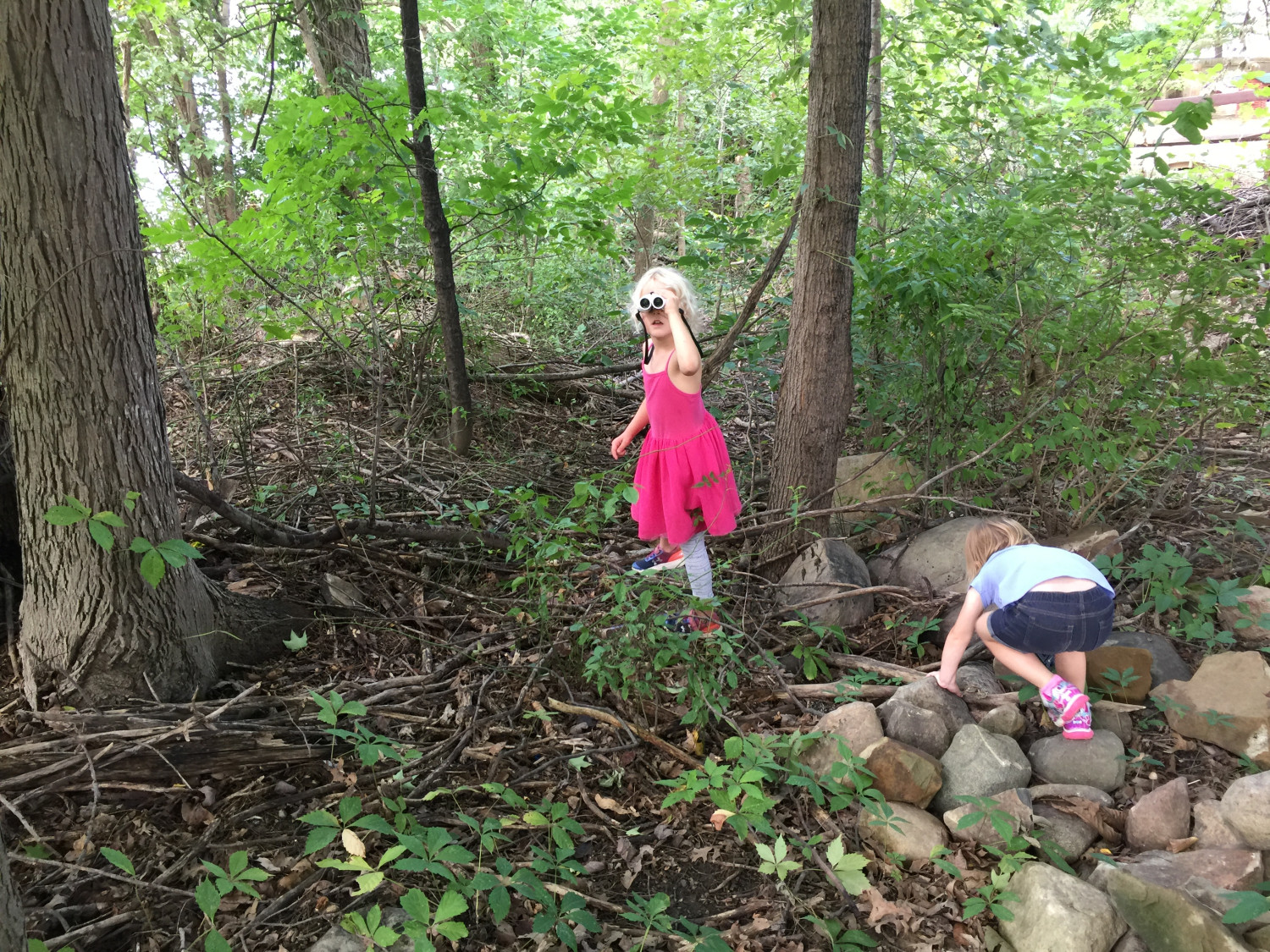 Wribbenhall Child Development Center & The Outdoor Learning Lab