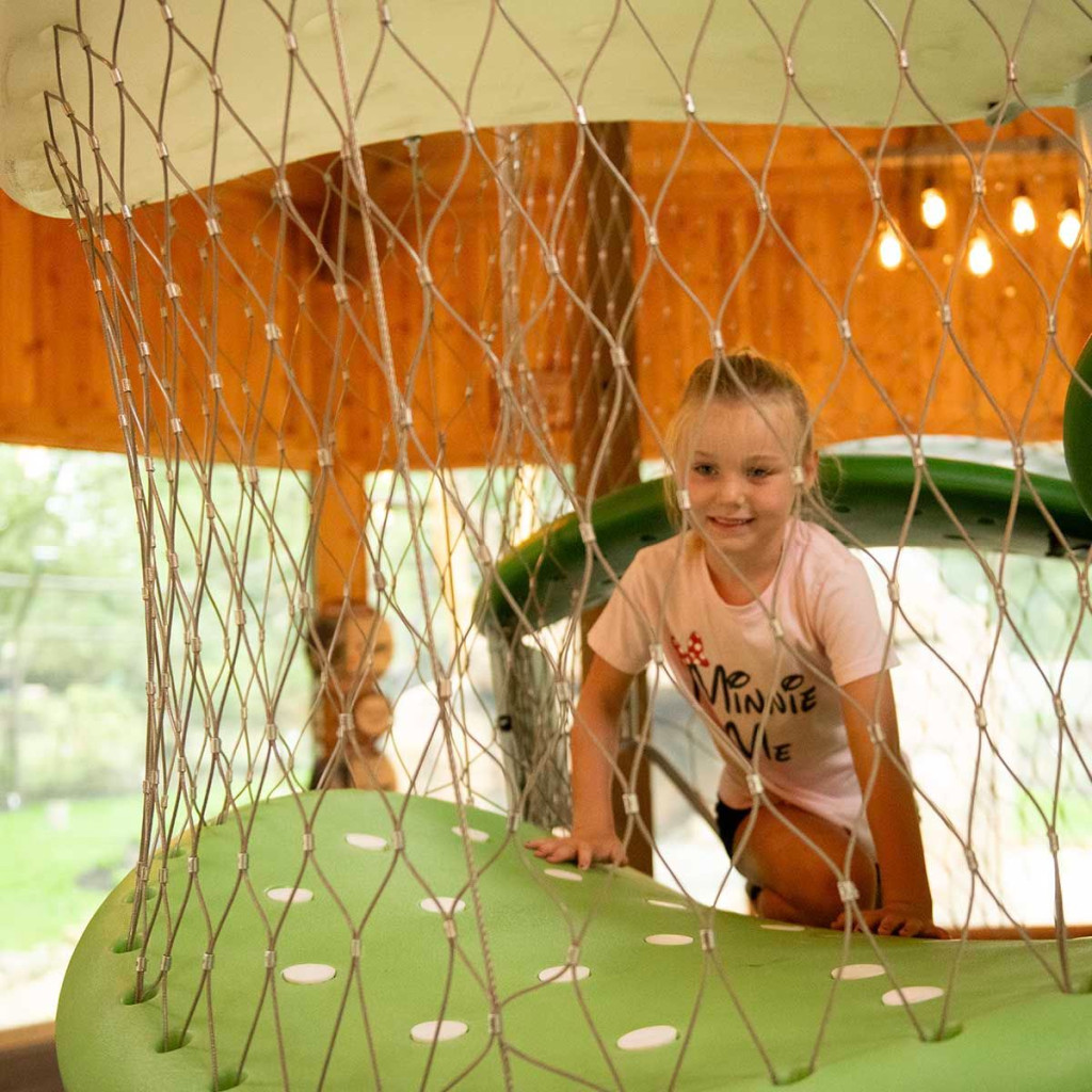 Susie's Bear Hollow Now Open at the Cleveland Zoo