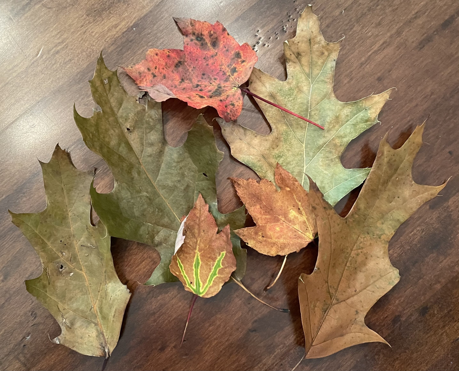 Crafting with Kids — Spooky Ghost Leaves Craft