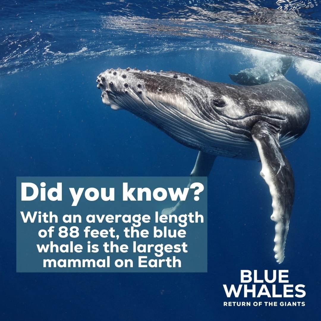 Media Facts - 88 Feet - Northeast Ohio Parent