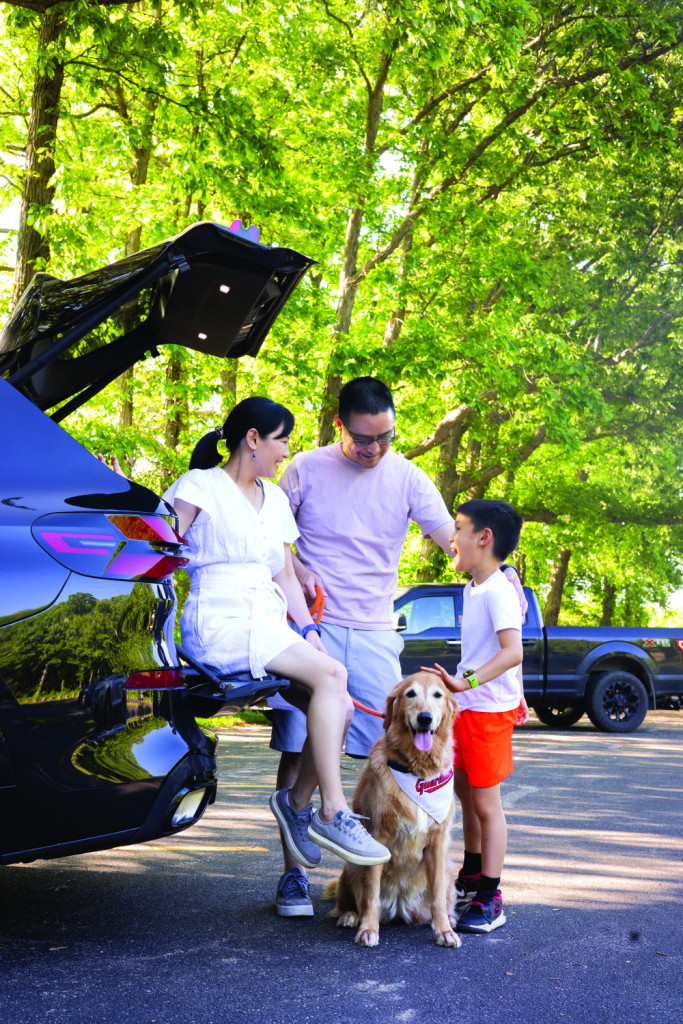 Plan a Pet-Friendly Summer Road Trip