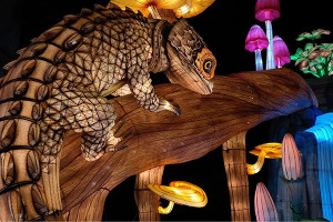 Asian Lantern Festival Returns to Cleveland Metroparks Zoo